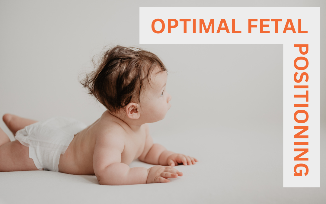Optimal Fetal Positioning - SCV Birth Center